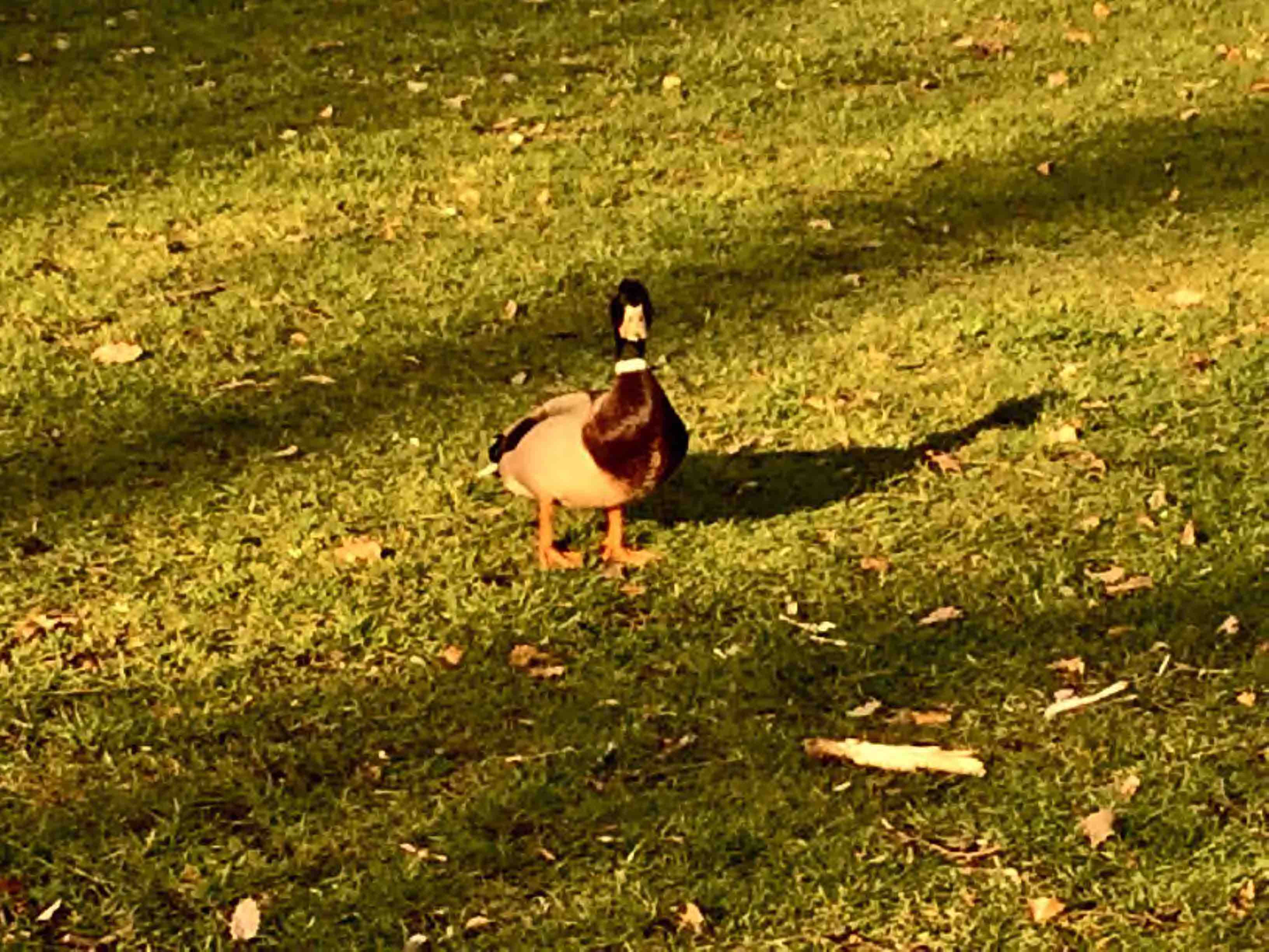 My Home Page - portfolio